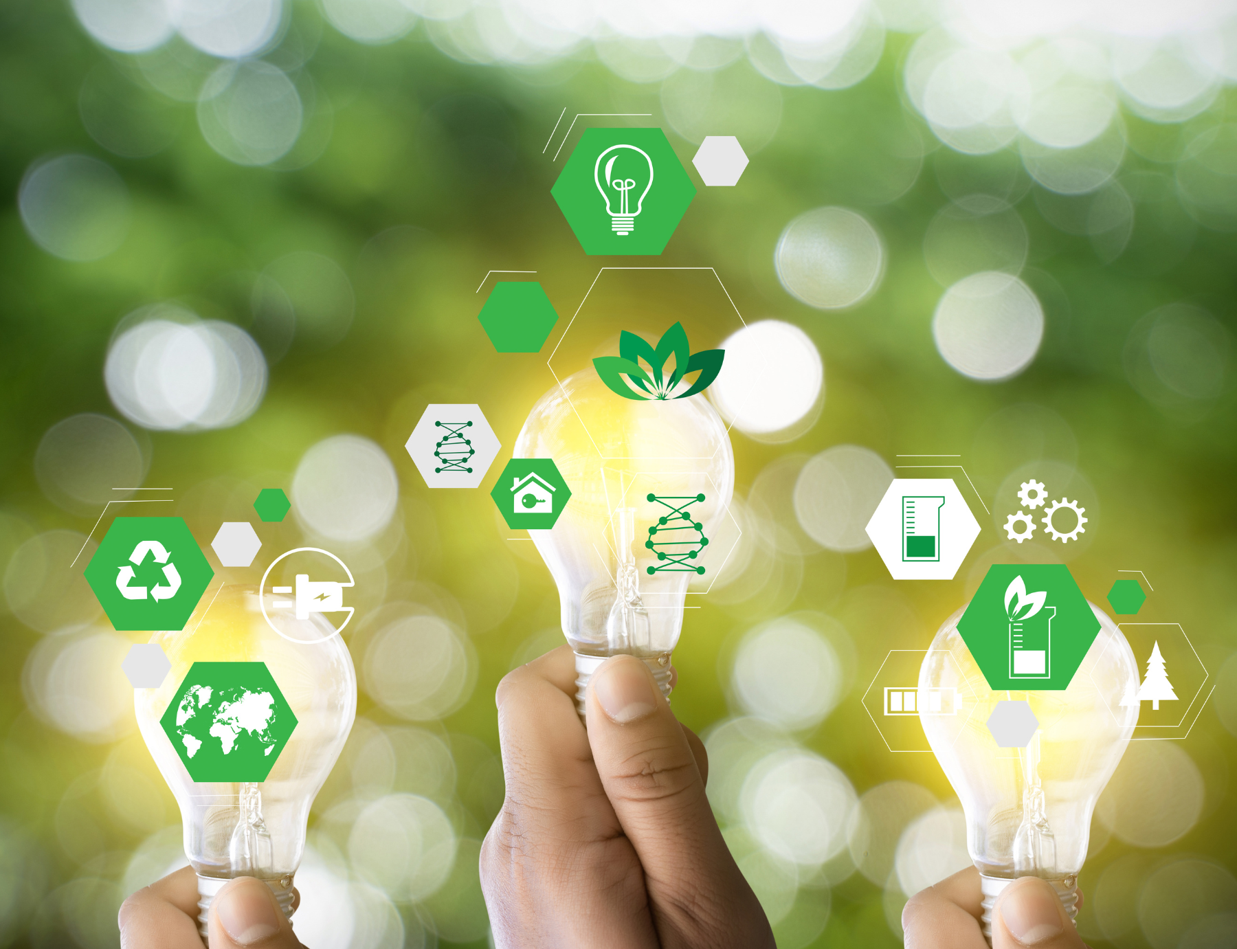 Kaizen Energy | Optimize Energy Efficiency & Sustainability